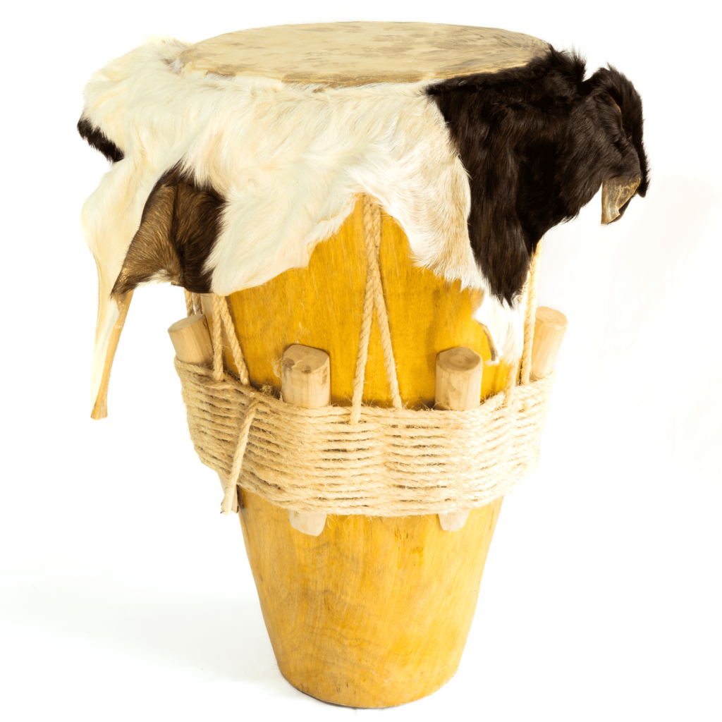 Guacharaca - Fundacion Mi Gaita